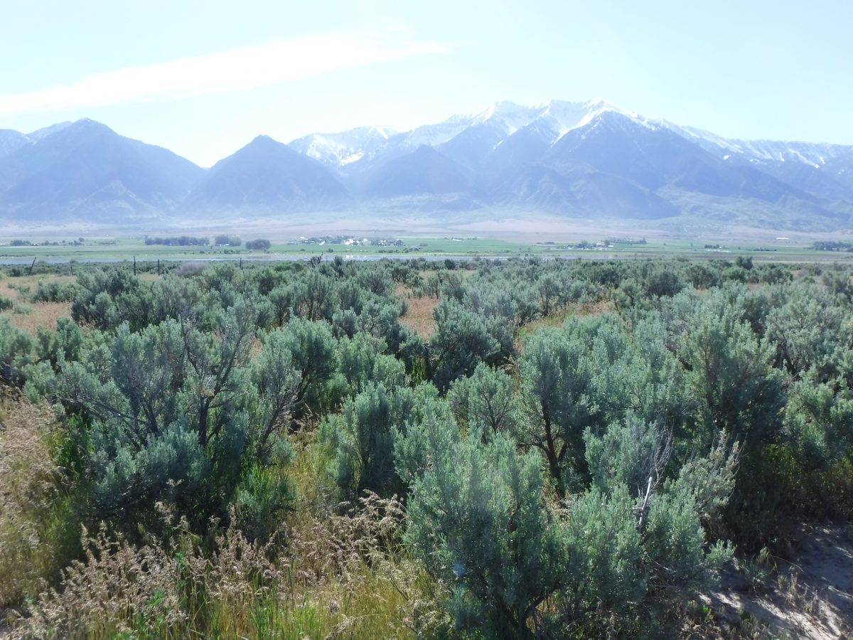 Clover Creek Solar: New solar farm planned for Utah - BIO-WESTBIO-WEST